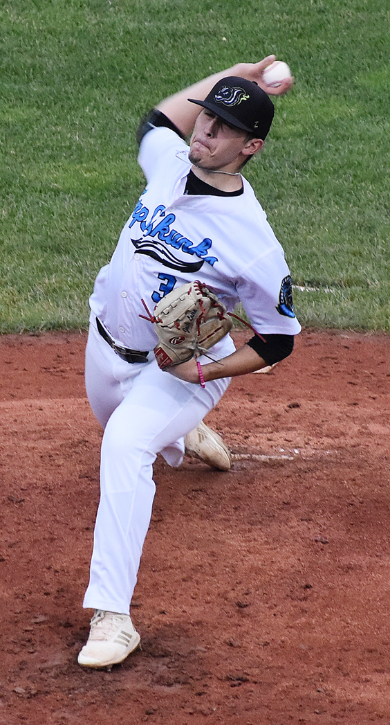 Tarp Skunks’ Laird Hurls One-Hitter Vs. Elmira | News, Sports, Jobs ...